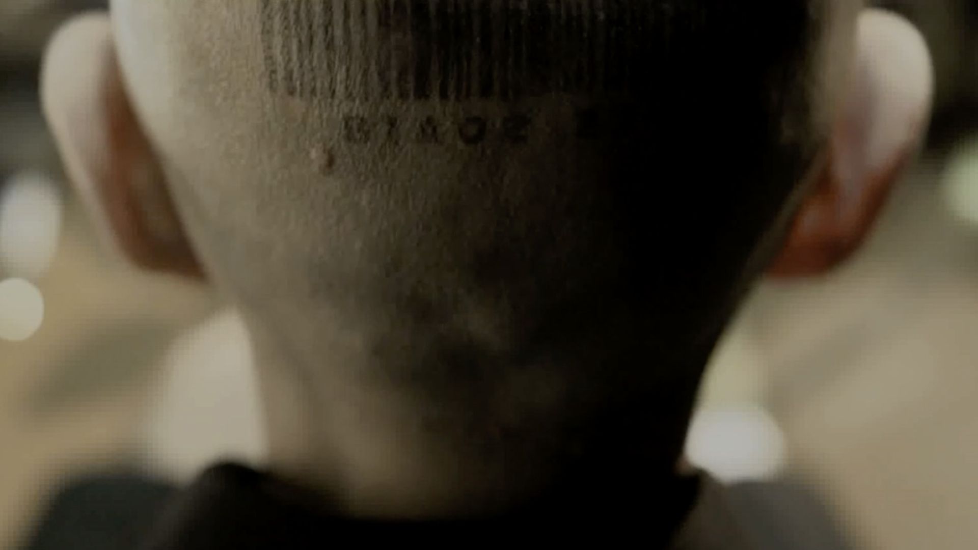 REGARD | File Under Miscellaneous